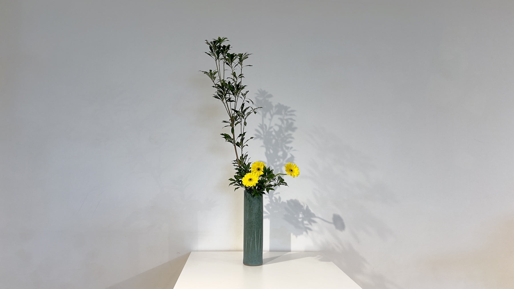 anytime SOGETSU Ikebana Sogetsu style official video distribution site