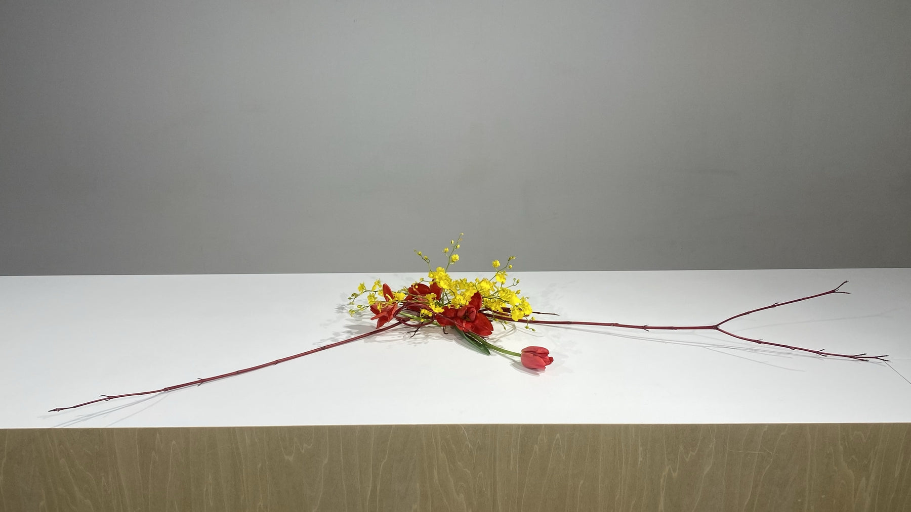 anytime SOGETSU Ikebana Sogetsu style official video distribution site
