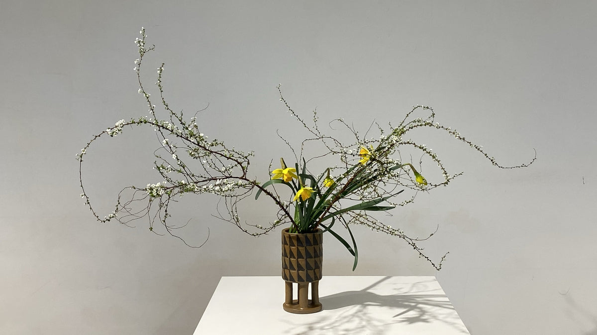 anytime SOGETSU Ikebana Sogetsu style official video distribution site