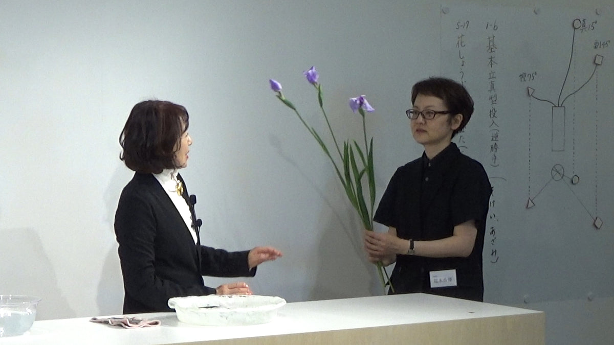 5-17 Japanese Iris, Rabbit-ear Iris by Ms.Gaho Isono – anytime SOGETSU