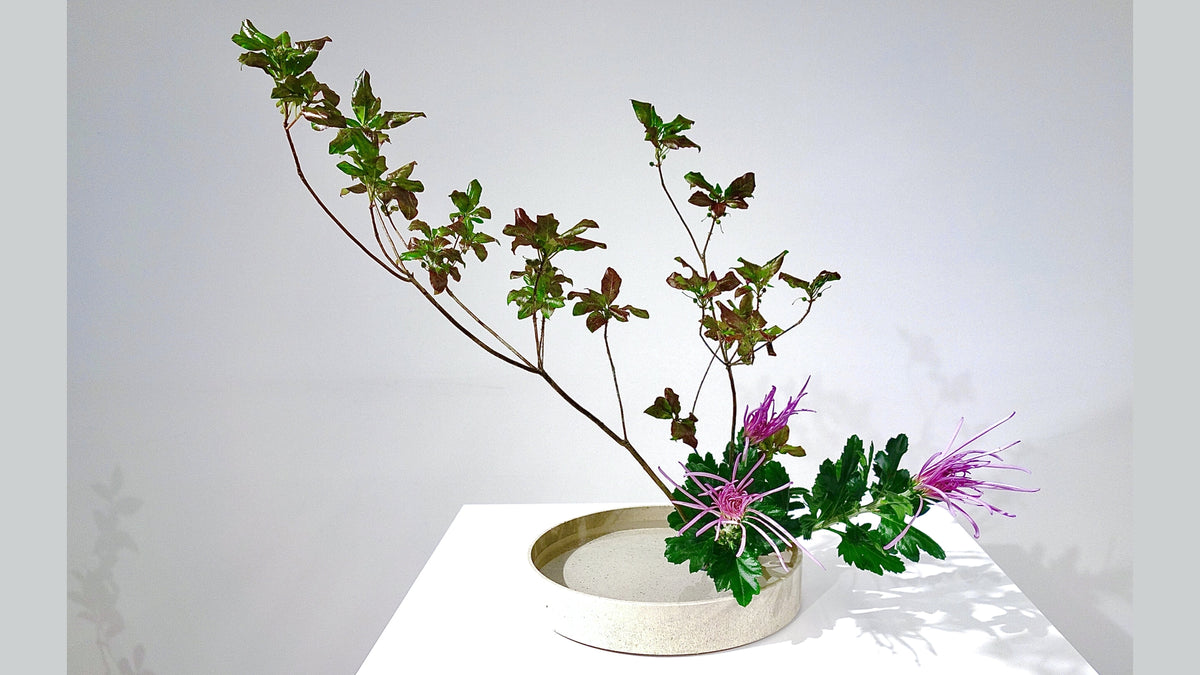 1-7 Basic Slanting Style Moribana by Ms.Gaho Isono – anytime SOGETSU