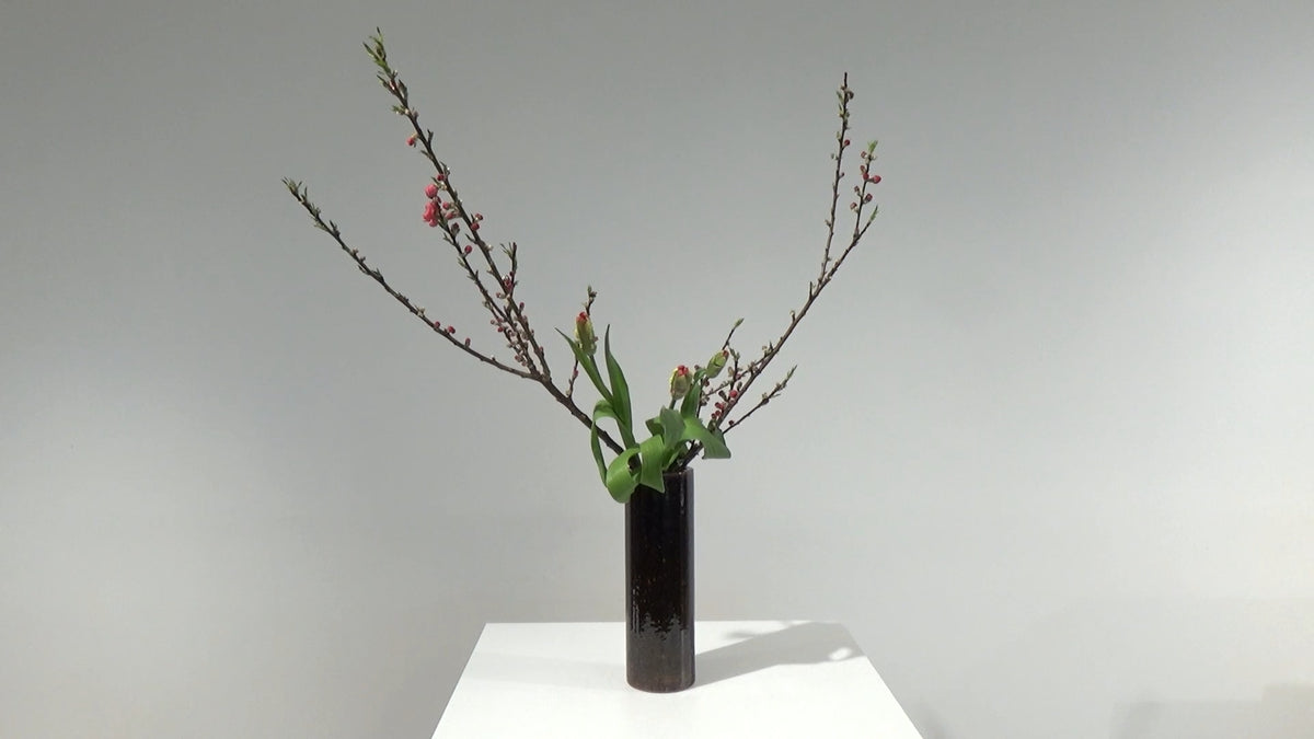 2-4 Variation No.3 Slanting Style Nageire by Mr.Ken Katayama – anytime ...