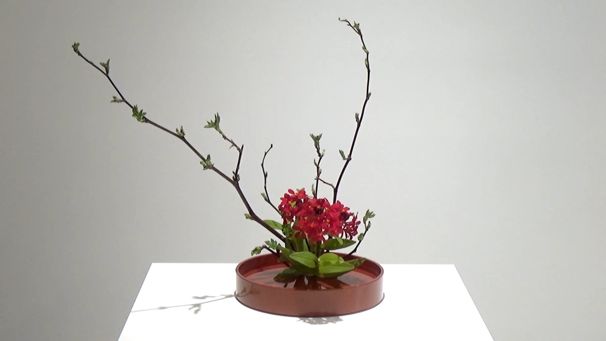 2-3 Variation No.3 Slanting Style Moribana by Ms.Misei Ishikawa ...